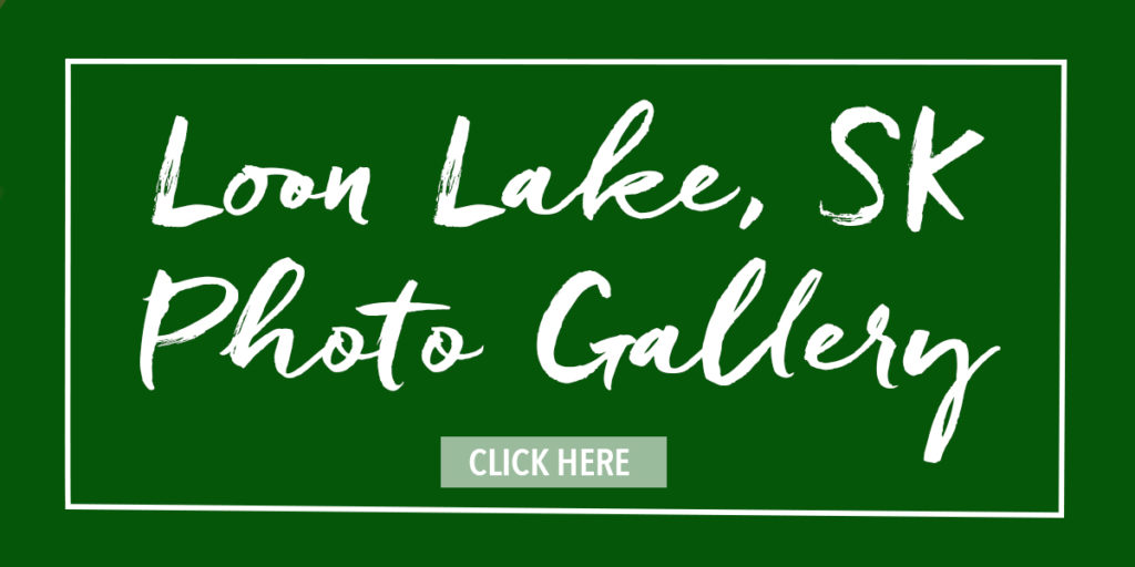 Aerial Photos of Loon Lake, Saskatchewan - Michelle Little Photography
