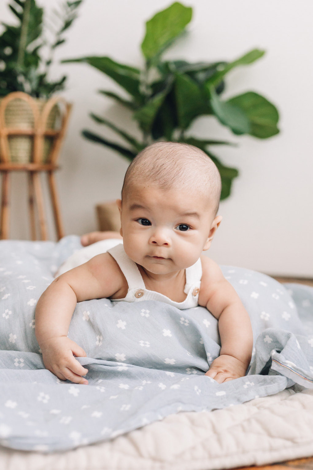 Newborn Studio Photographer - Michelle Little Photography